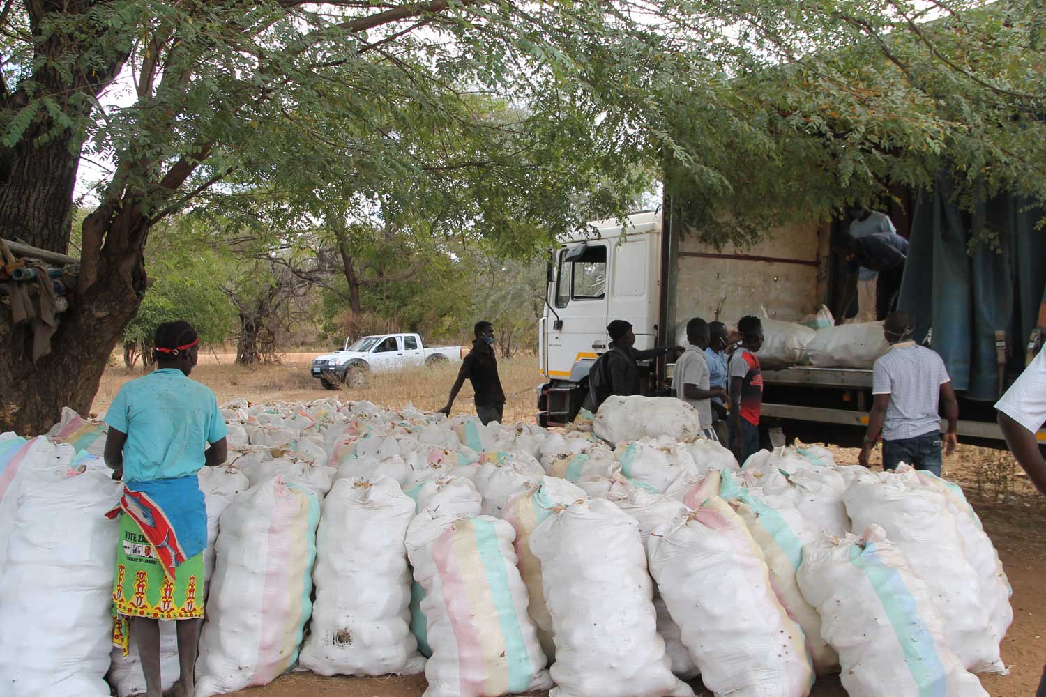 What we do and why • micaia