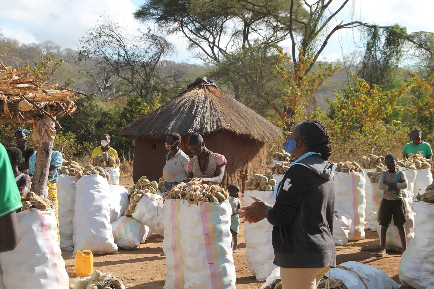 What we do and why • micaia