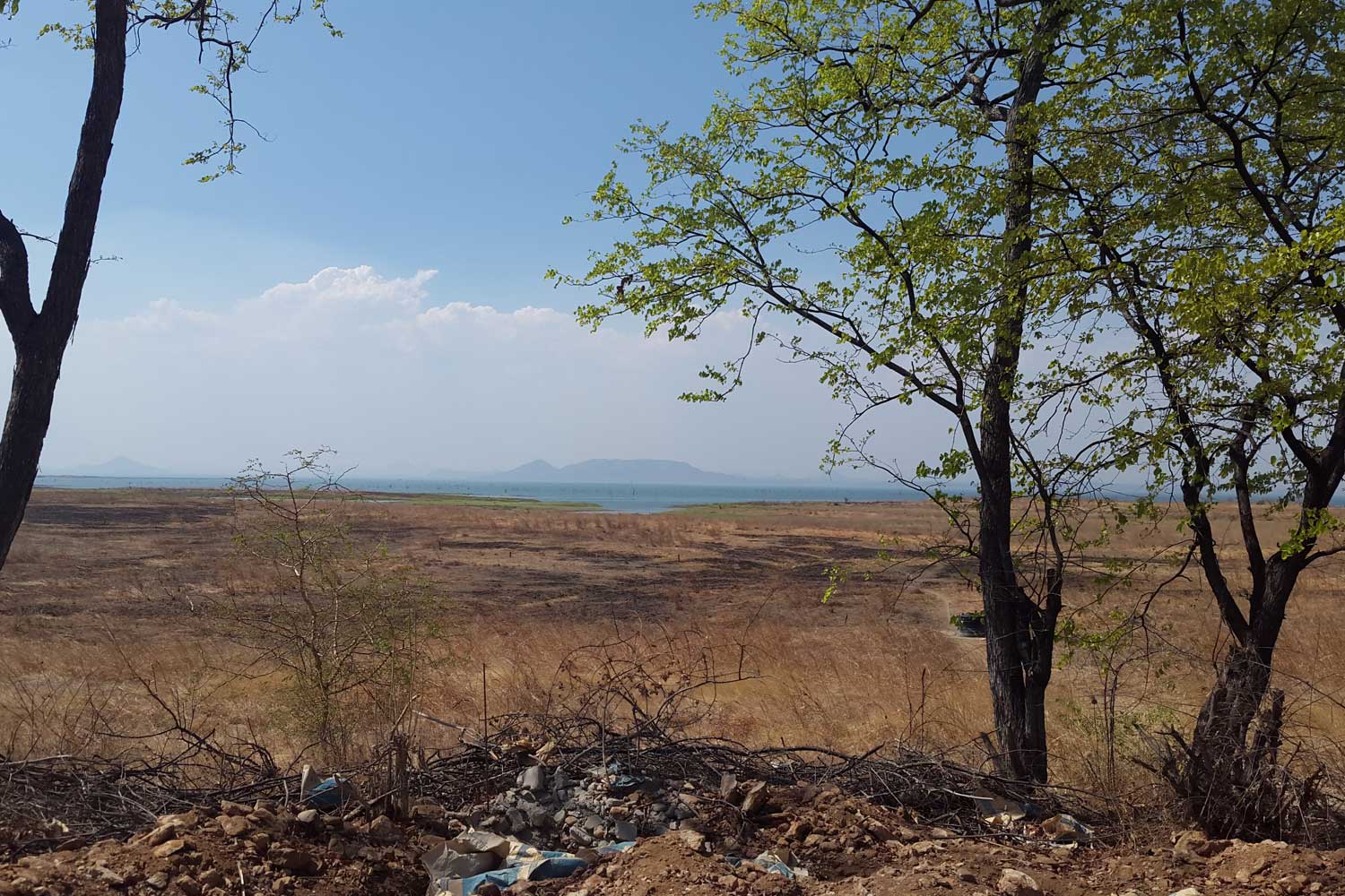 What we do and why • micaia