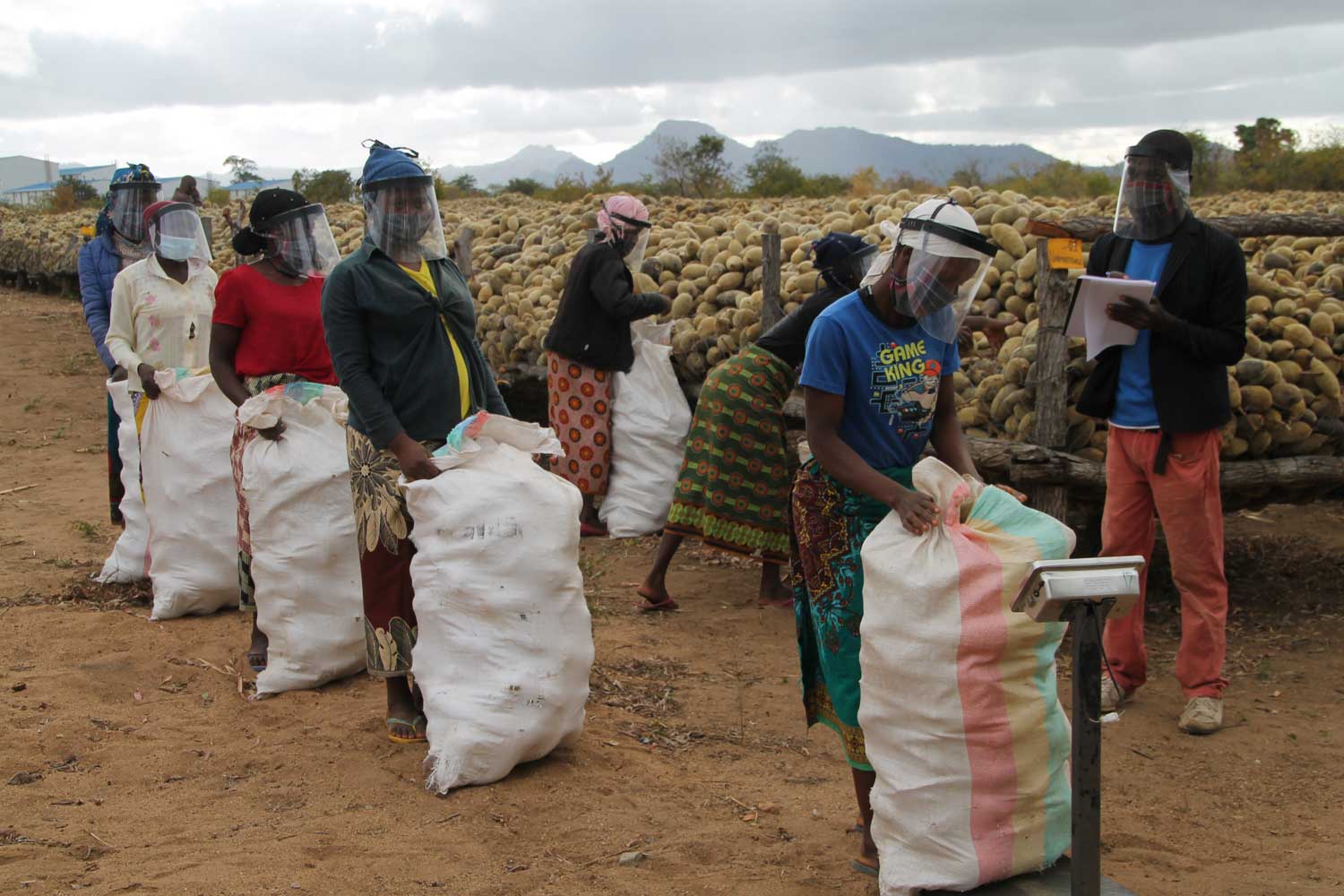 What we do and why • micaia