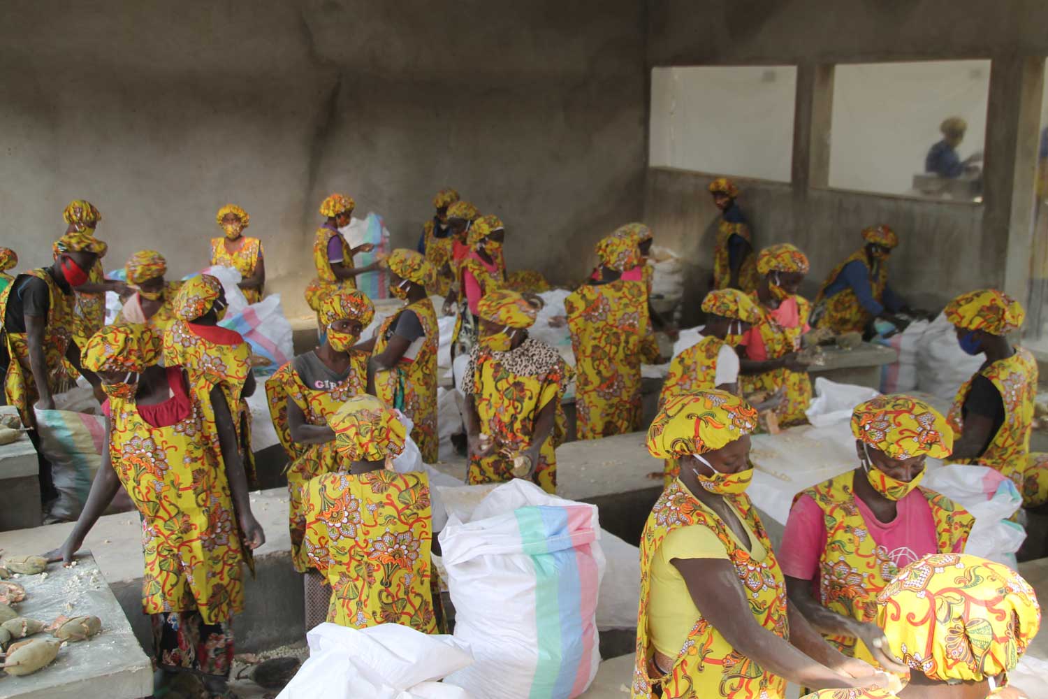 What we do and why • micaia