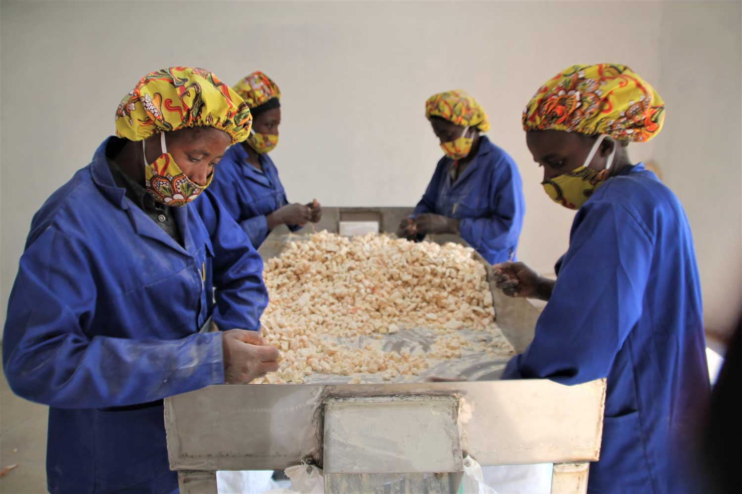 Enterprises • micaia