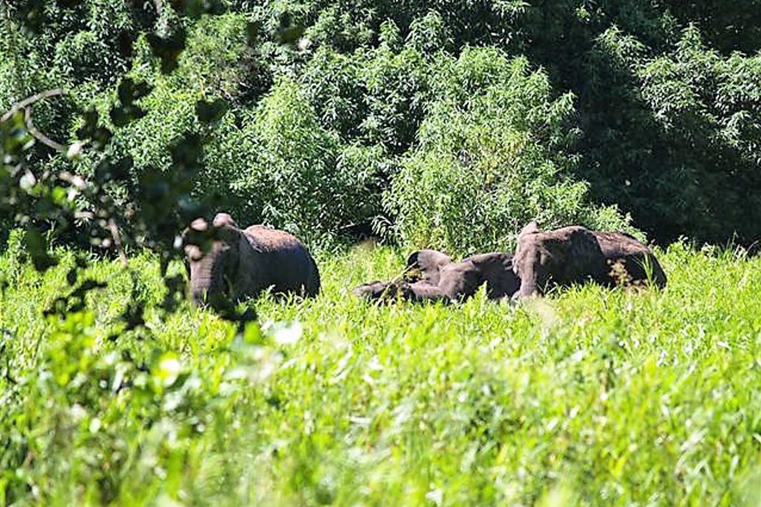 Enterprises • micaia