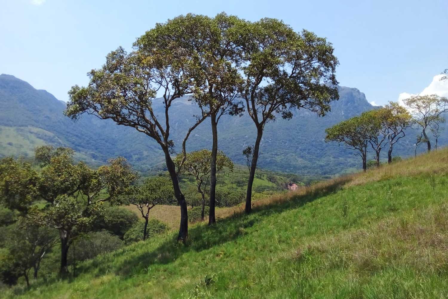 Sussundenga District – Chimanimani • micaia